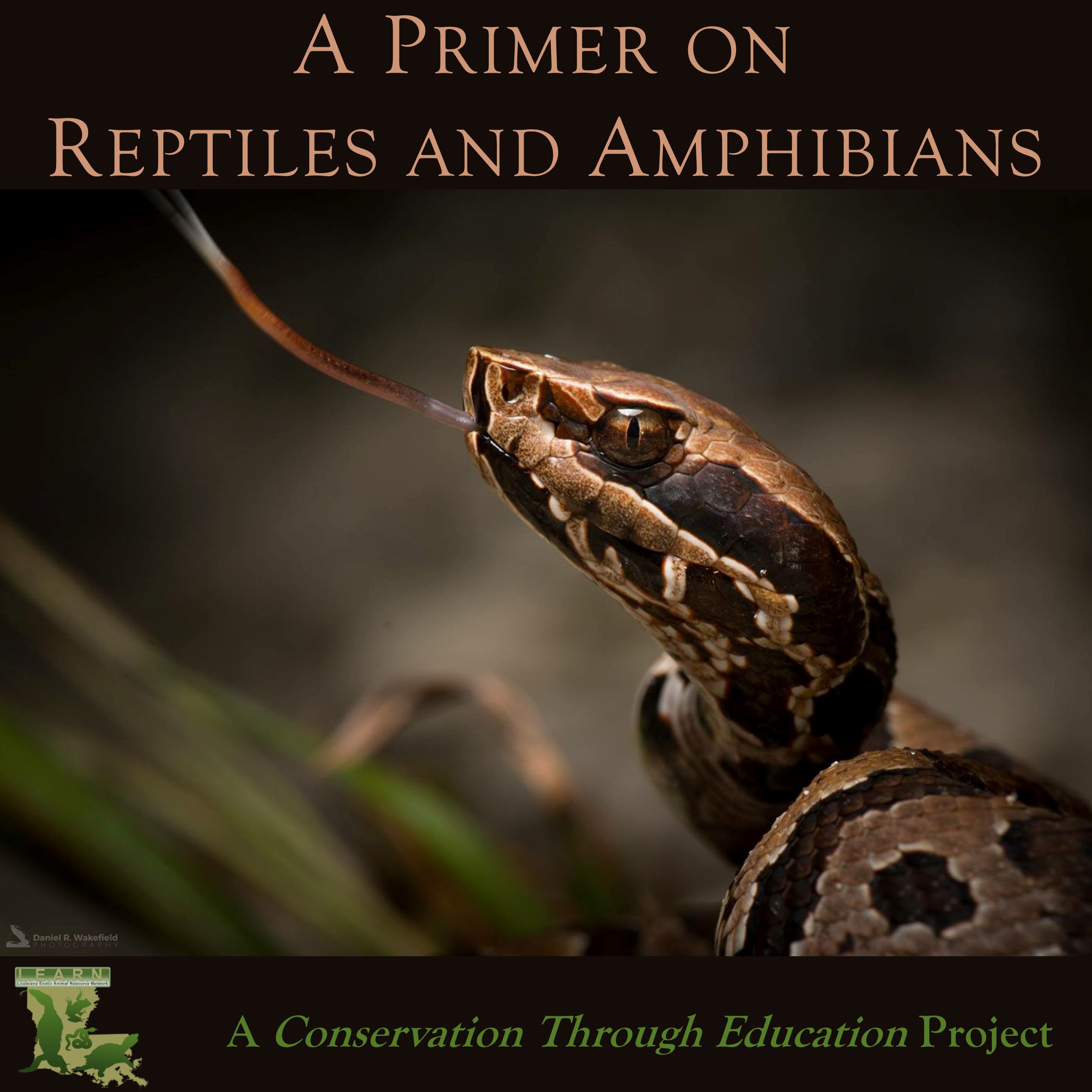 Education - LearnAboutCritters.org